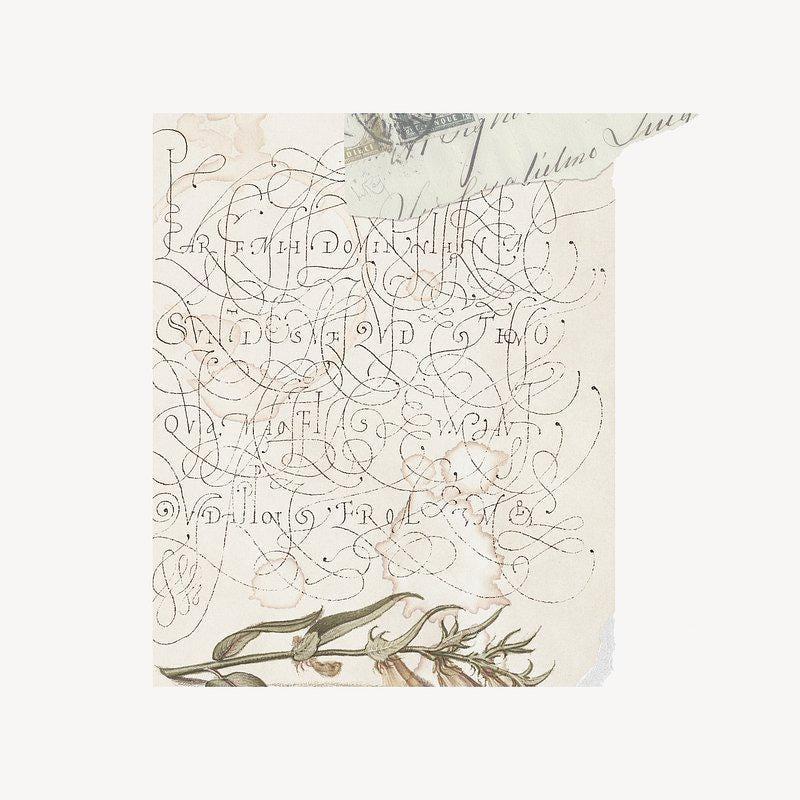 Modern Calligraphy Elegant Script Limited Edition Posters (No Frame)