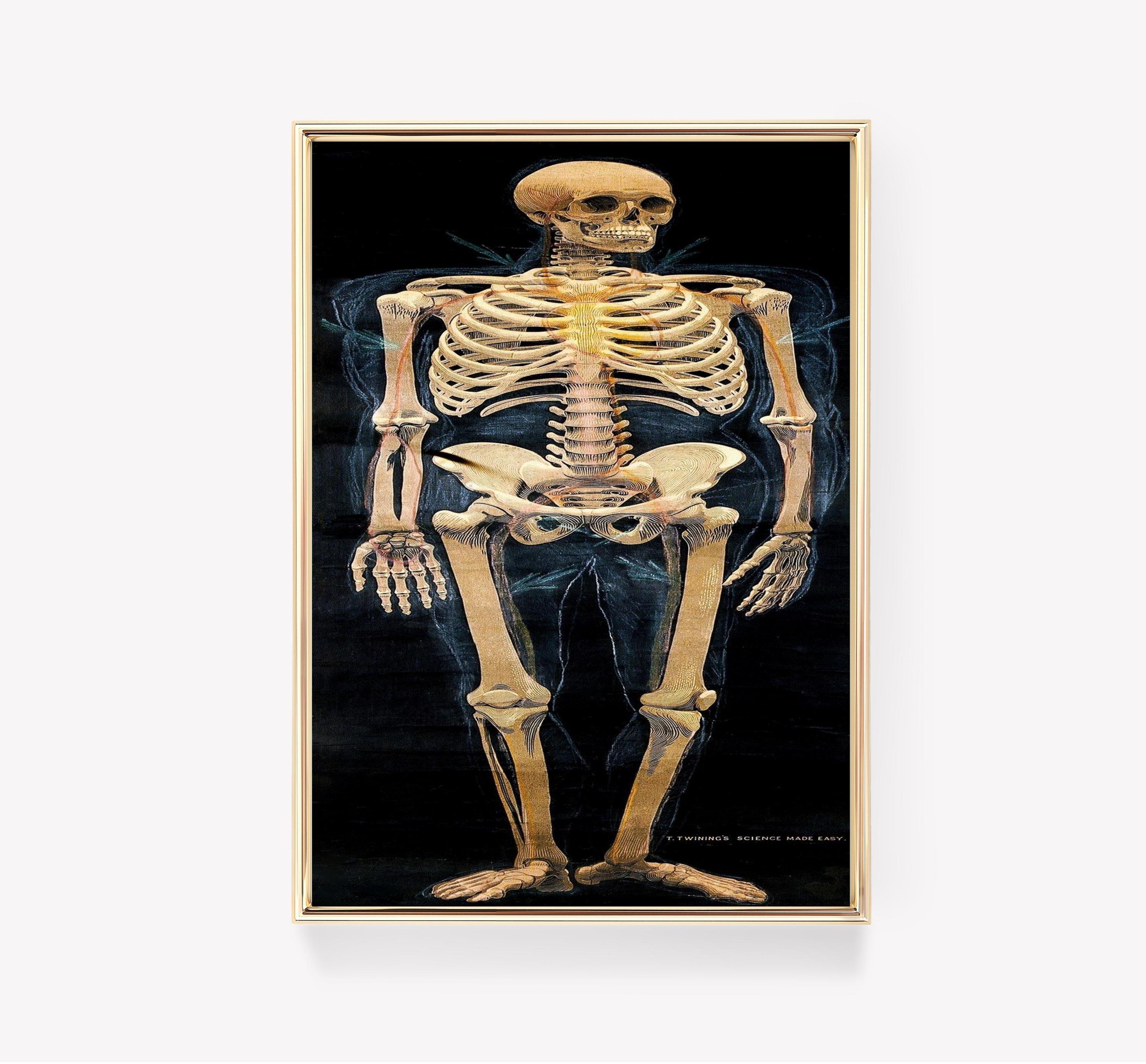 Vintage Diagram Limited Edition Posters (No Frame)